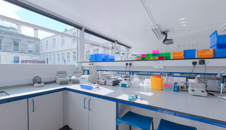 School Archives - eyerevolution