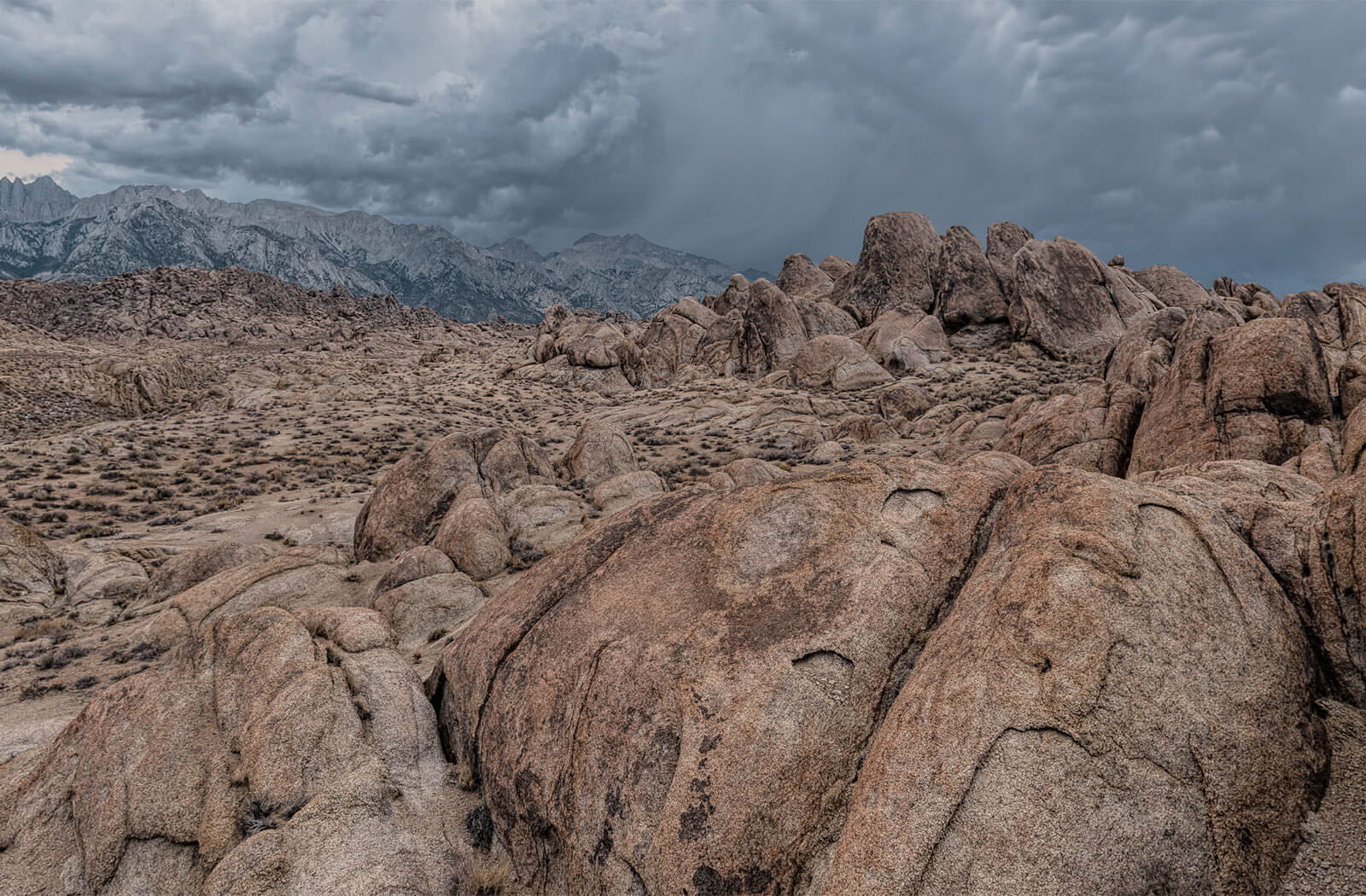 California 360 Photography | 360 Tours by Eye Revolution London