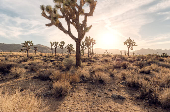 California 360 Photography | 360 Tours by Eye Revolution London